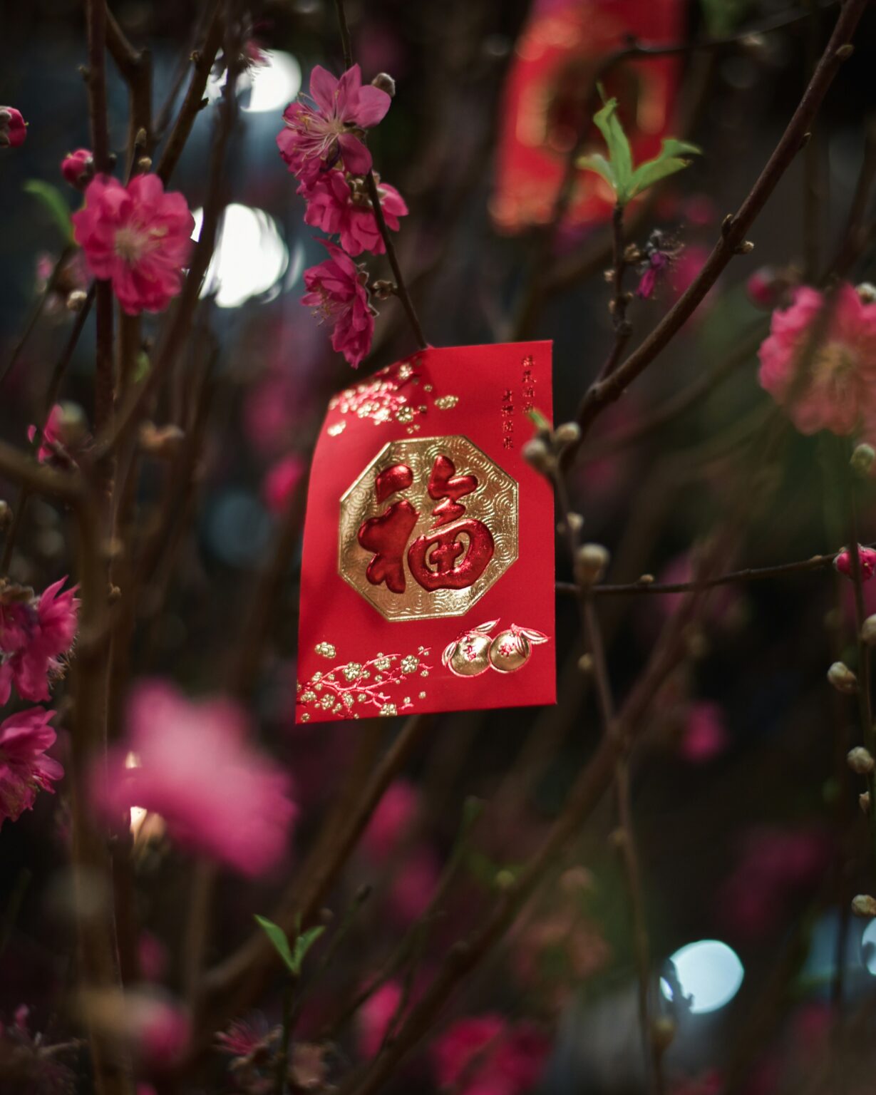 The Global Chinese Diaspora Today - ChinaSource
